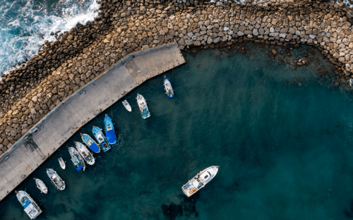 Safe Harbour Demystified | News & Insights